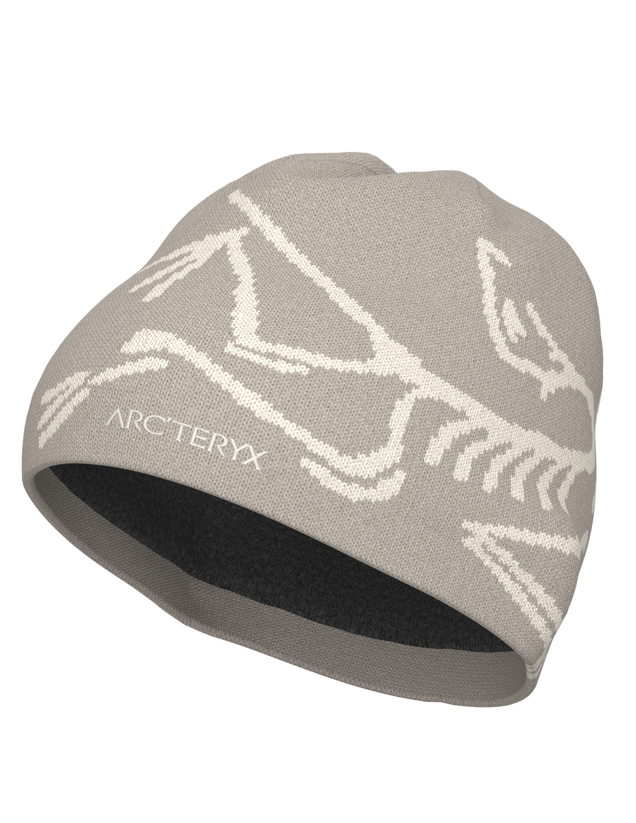 arcterx 2023FW 入荷情報